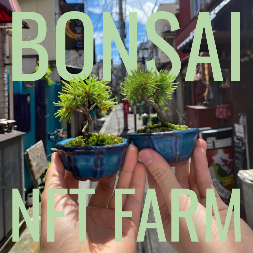 NFTを買うと本物の盆栽が送られてくる「BONSAI NFT CLUB」が、第二弾となる8031体のNFTプロジェクト「BONSAI NFT ...